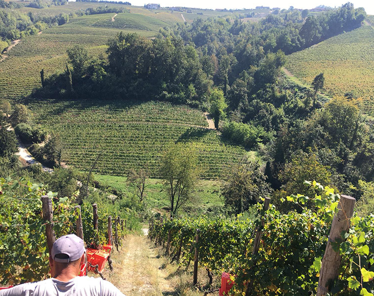 Ferdinando Principiano Freisa 2021 – wine4u