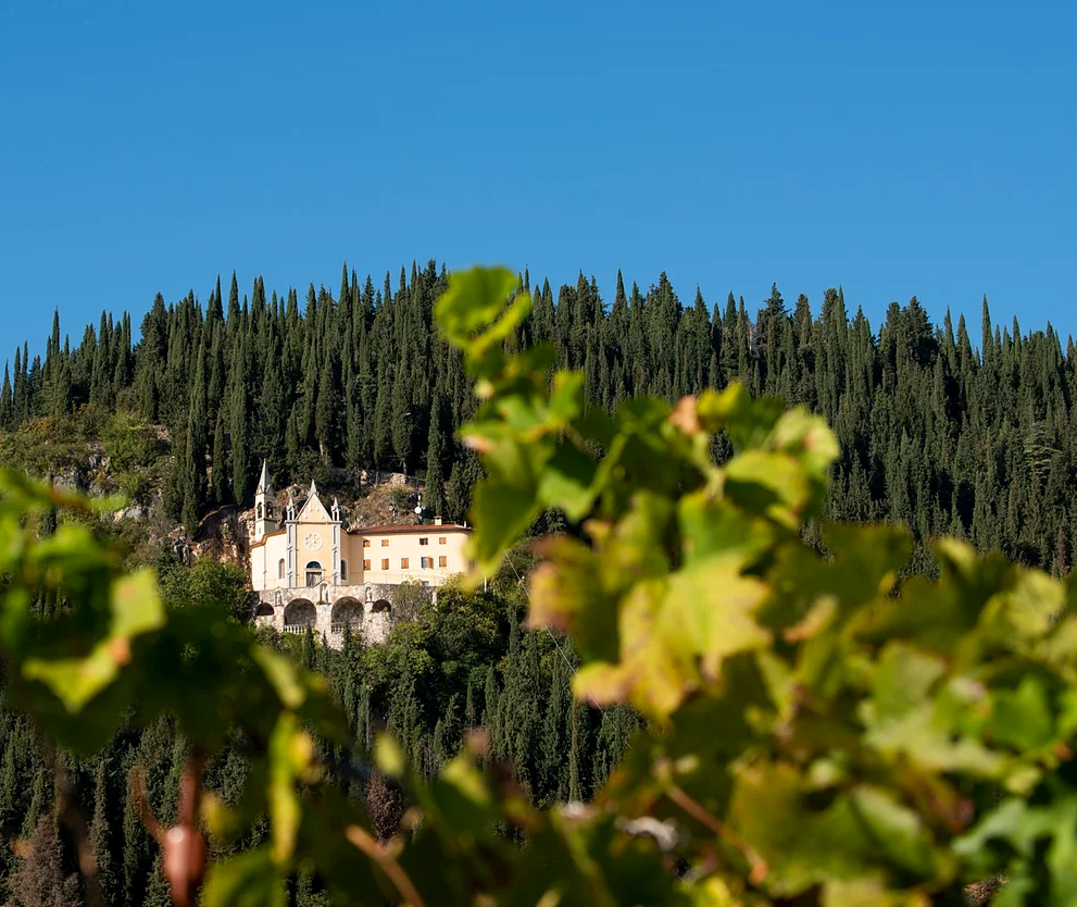 Le Salette Molinara Rosato 2023 – wine4u